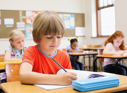 Chaos to Calm: 7 Tips for Addressing Individual Student Needs | Boys ...